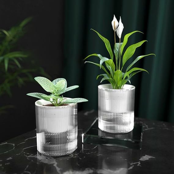 Kuber Industries Flower Pot | Flower Planter Pots for Indoor | Flower ...