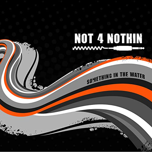 Amazon.com: Something In The Water : Not 4 Nothin: Digital Music