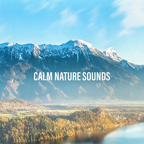 Calm Nature Sounds by Rest & Relax Nature Sounds Artists on Amazon ...