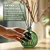 Reed Diffuser Set- Energize Aromatherapy 100 ml | Comes with 6 Fiber ...