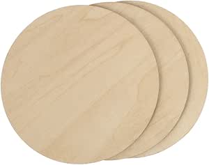 AKOOSY 3Pcs Unfinished Round Wooden Discs for DIY Painting and Crafts ...
