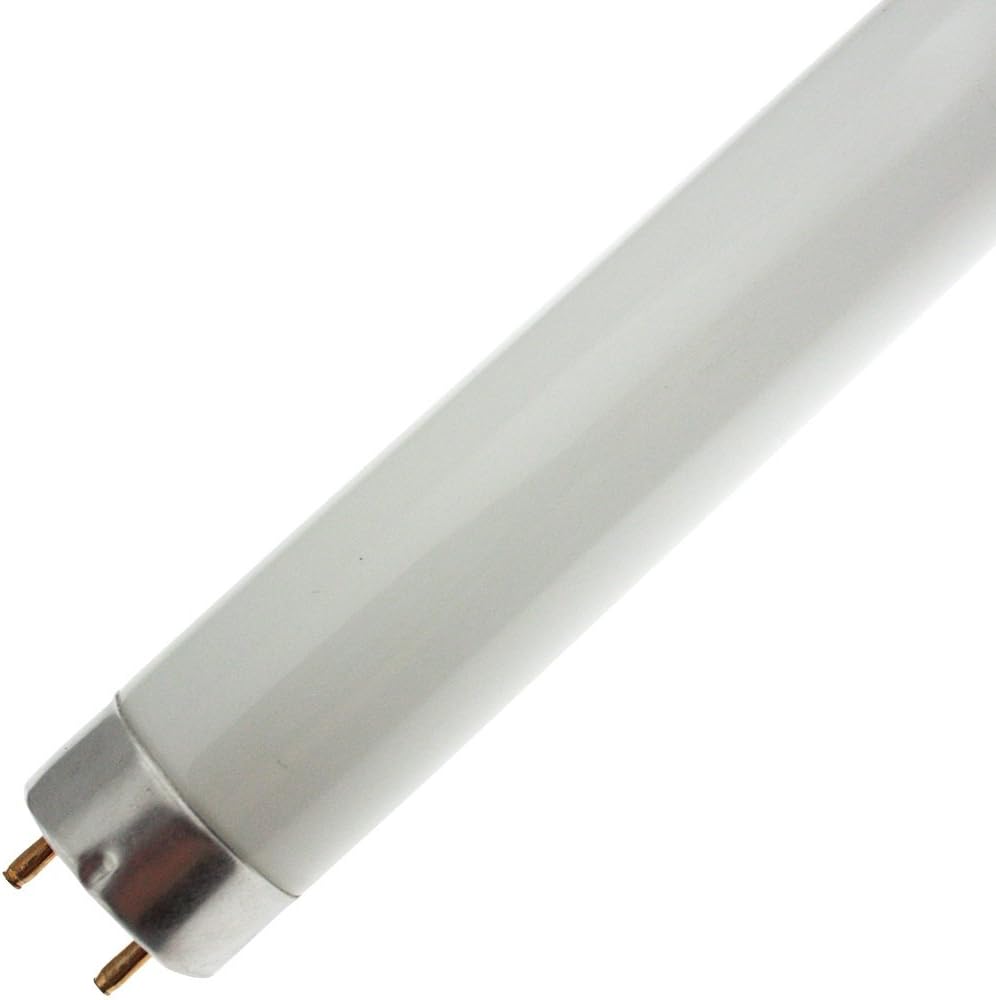 Amazon.com: Industrial Performance F32T8/841/ECO, 32 Watt, G13 Base ...