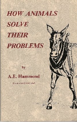 How Animals Solve Their Problems: A.E. Hammond: 9789991987163: Amazon ...
