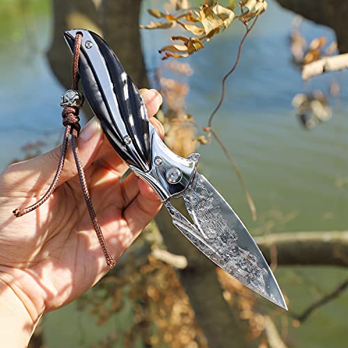The 6 Best ALVELY Pocket Knives of 2026 [Verified] - Cherry Picks