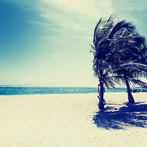 Play Feelings for Family Vacations by Beautiful Relaxing Beach Music on ...