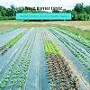 Amazon.com : 6ft X 300ft Weed Barrier Landscape Fabric Heavy Duty ...