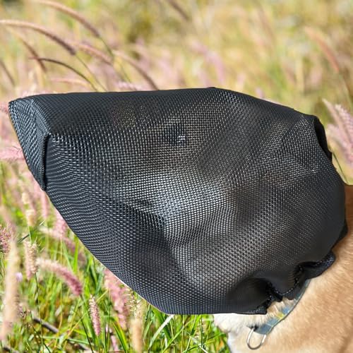 Foxtail Dogs – The 15 best products compared - Wild Explained