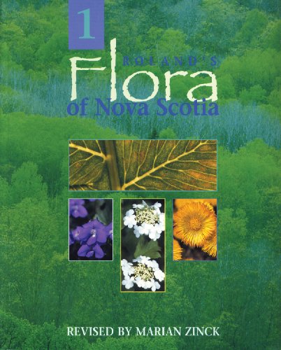 Flora Nova – Die 15 besten Produkte im Vergleich & Angebote ...