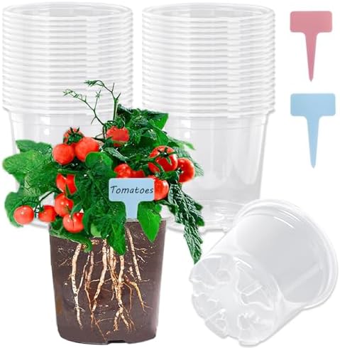 Amazon.com: Kaiyuan Dynasty 36 Pack 5 Inch Clear Nursery Pots Clear ...