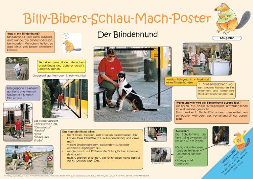 Billy-Bibers-Schlau-Mach-Poster - Der Blindenhund : Prinz, Anne ...