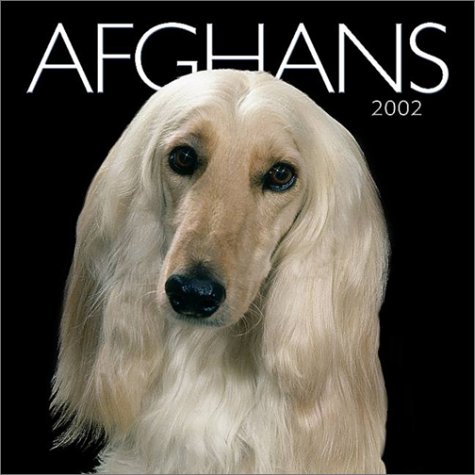 Afghans 2002 Wall Calendar: unknown author: 9780763138387: Amazon.com ...