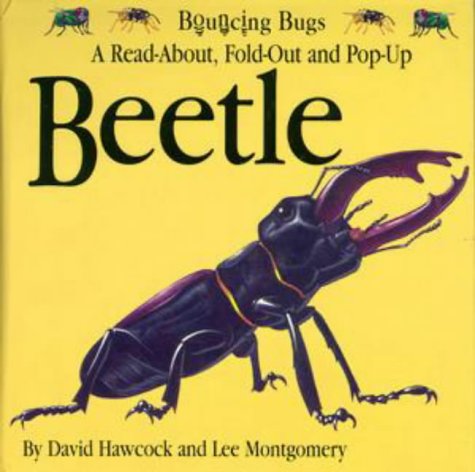 Beetle: Bouncing Bugs Fold Out: David Hawcock: 9780670865642: Amazon ...