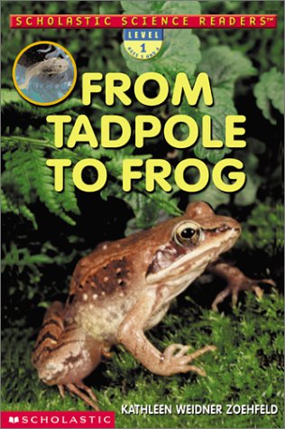 Amazon.com: Scholastic Science Readers: From Tadpole To Frog ...
