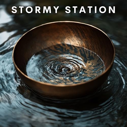 Amazon MusicでBoleen FX, Waht Poo & Stormy StationのStormy Station ...