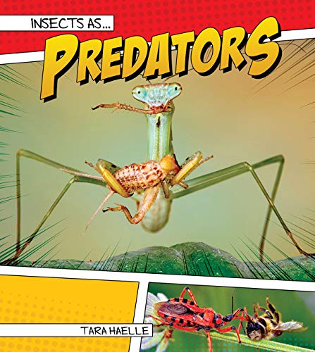 Rourke Educational Media Insects as Predators (Insects As…) - Kindle ...