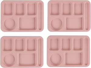 Amazon.com | AIYoo 4 Pack Unbreakable Divided Plates,Large 14 Inch ...