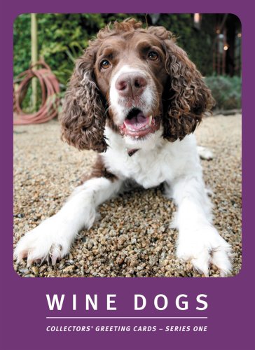Wine Dogs Boxed Greeting Cards Series One: Craig McGill & Susan Elliott ...
