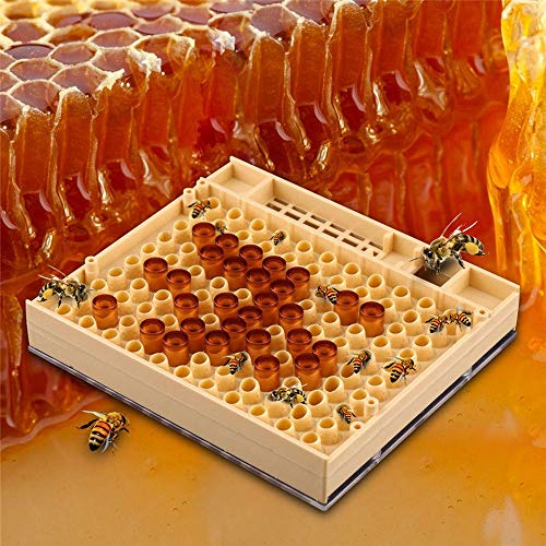 Haomingxing Beekeeping Grafting Tool,Bee Queen Rearing Cell Cup,Queen ...