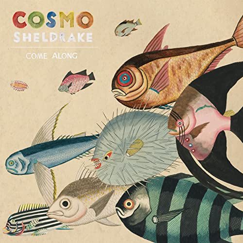 Play Come Along (Edit) by Cosmo Sheldrake on Amazon Music
