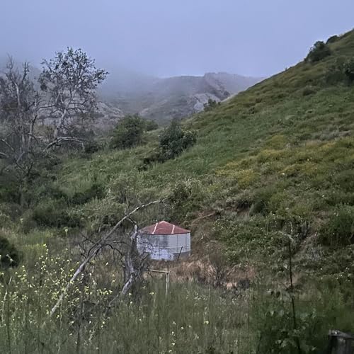 Amazon.co.jp: Amber Currents : Fire Season: Digital Music