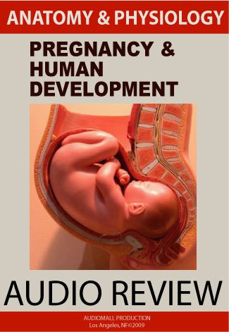 Amazon.com: Pregnancy & Human Development (Anatomy and Physiology ...