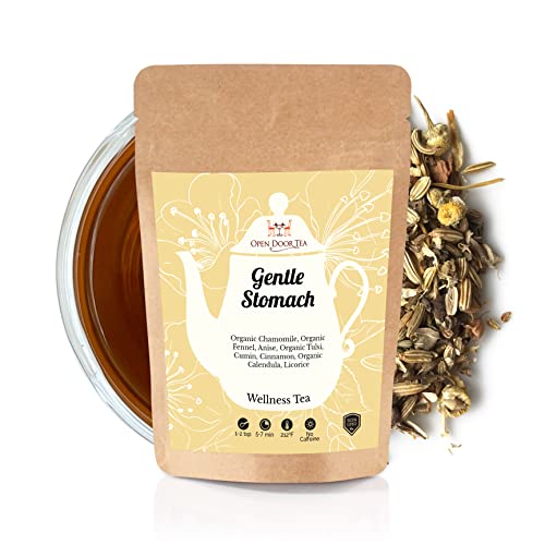 Amazon.com : Open Door Tea - Gentle Stomach | Herbal, Wellness Tea ...