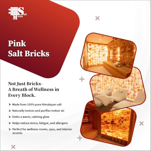Himalayan Pink Salt Bricks for Spa & Salt Wall - Pack of 10 (8″ × 4″ × ...