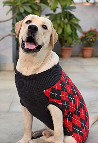 Heads Up For Tails Huft Cambridge Dog Sweater - Red & Black - XL ...