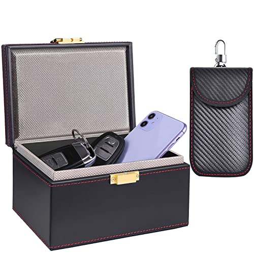 Best Faraday Boxes – Best Cost