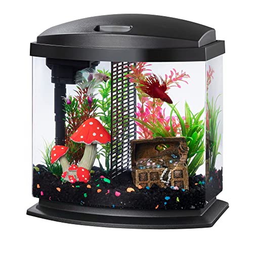 Aqueon Betta Falls Tank: A Detailed Overview - Animals Log