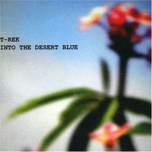 Amazon.com: Into the Desert Blue: CDs & Vinyl