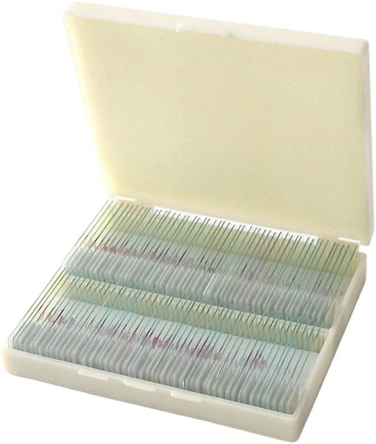 Amazon.com: AORGRE 100 Pcs Microscope Slides, Normal Tissue Embryo ...