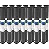 Amazon.com: Pentair Pentek C1-20 Dual Purpose Carbon Water Filter, 20 ...