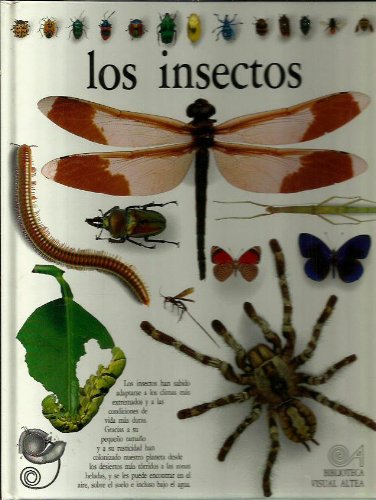 Los Insectos (Spanish Edition): Mound: 9788437237275: Amazon.com: Books