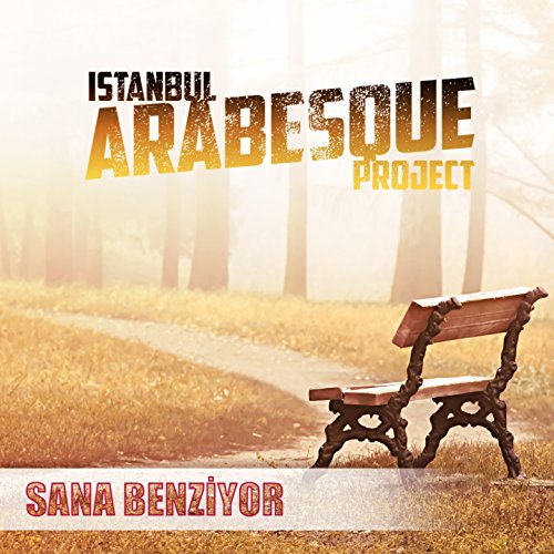 Play Sana Benziyor by İstanbul Arabesque Project on Amazon Music