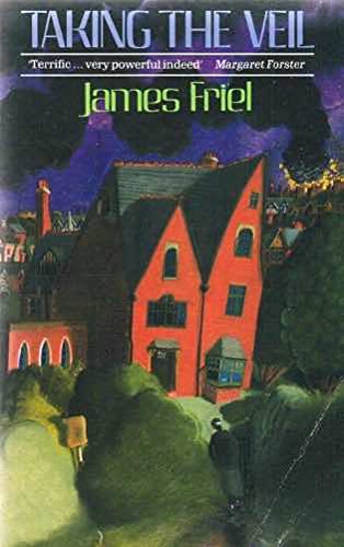 Taking the Veil: James Friel: 9780349102009: Amazon.com: Books