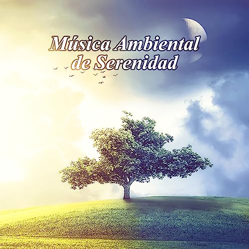 Play Música Ambiental de Serenidad: Musica Relajante para Meditación ...