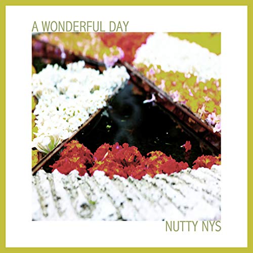 Play A Wonderful Day by Nutty Nys on Amazon Music