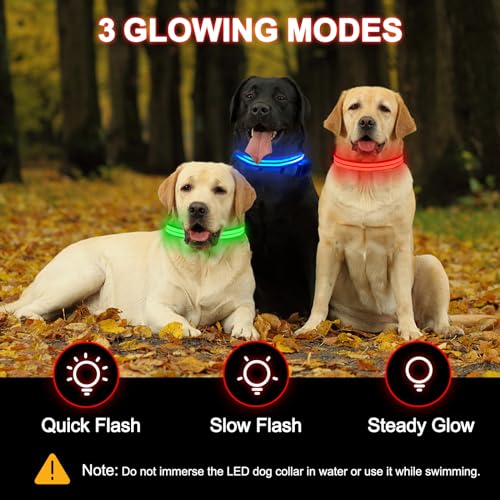Nepfaivy Light Up Dog Collar – Dog Collar Lights for the Dark Night ...