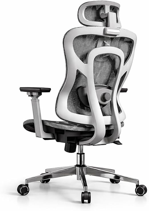 Amazon.com: Logicfox Ergonomic Office Chair for Long Hours,High Back ...
