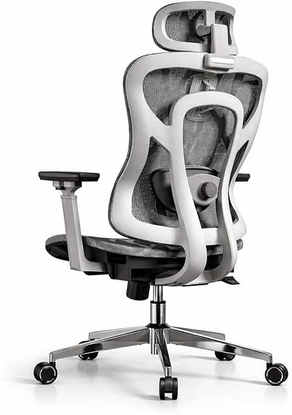 Amazon.com: Logicfox Ergonomic Office Chair for Long Hours,High Back ...