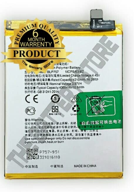 THE BATTERY STORE® Original BLP757 Battery for Realme 6/6 Pro,/ 6S ...