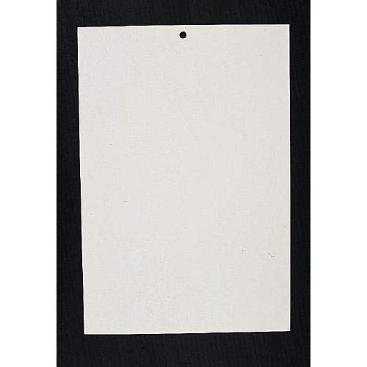 Leneta Company WDX Paint Test Card, Plain White: Amazon.com: Industrial ...