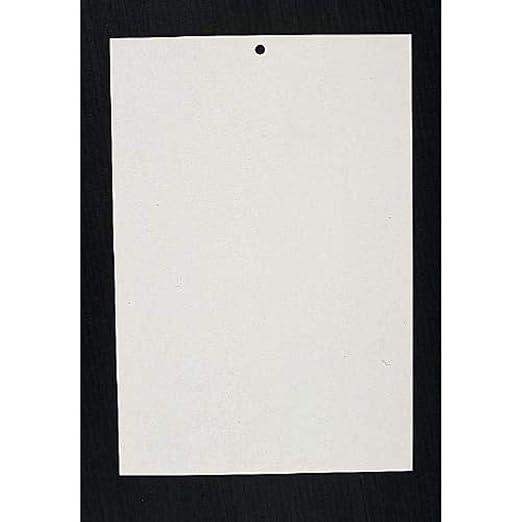 Leneta Company WDX Paint Test Card, Plain White: Amazon.com: Industrial ...