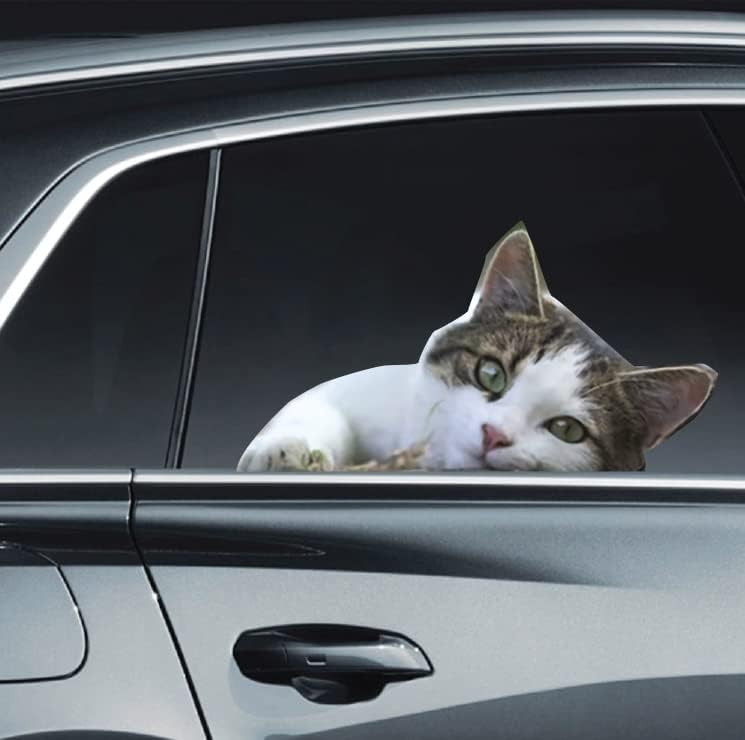 Amazon.com: Cat Car Window Decals Funny 3D Weatherproof Decals (Scared Cat)