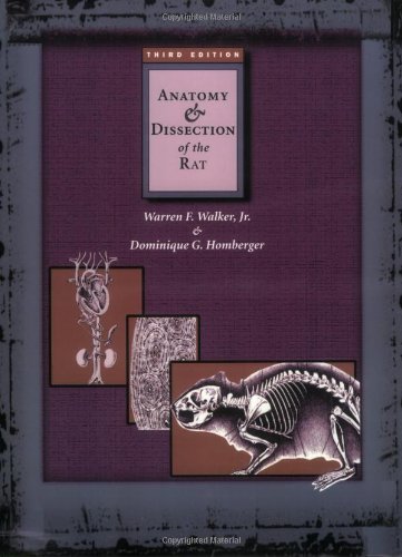 Anatomy And Dissection Of The Rat: Amazon.co.uk: Walker Jr , Warren F ...