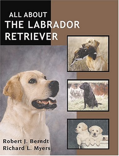 All About the Labrador Retriever: Berndt, Robert J., Myers, Richard L ...