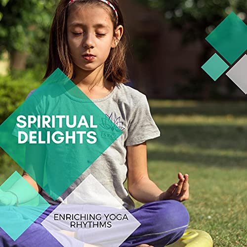 Spiritual Delights - Enriching Yoga Rhythms de Ambient 11, Serenity ...