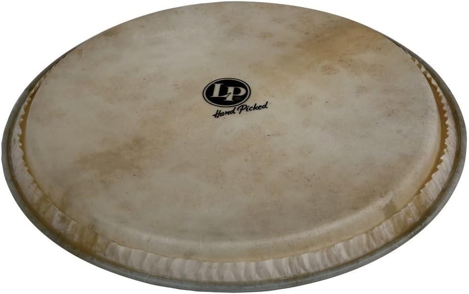Amazon.com: Latin Percussion CP221B 7-Inch Replacement Bongo Head for ...