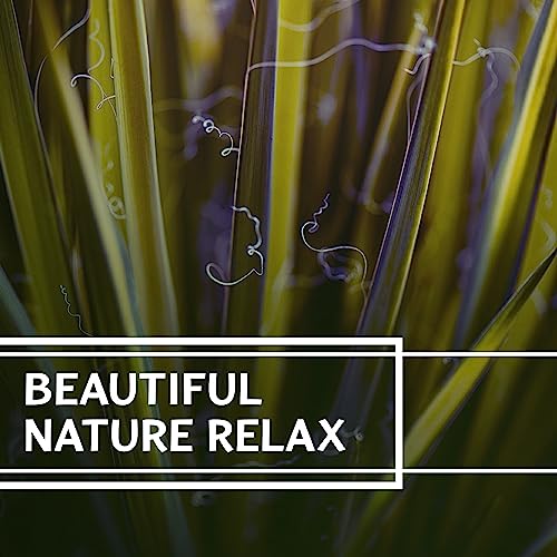 Amazon.com: Beautiful Nature Relax – Sounds of Nature Relaxation ...